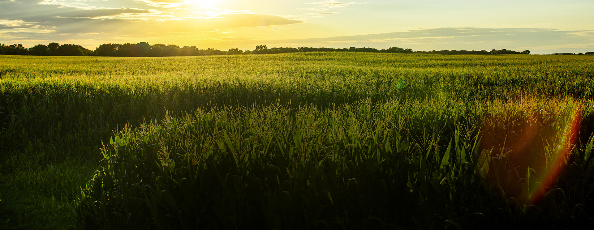 Home - Warren County, Iowa